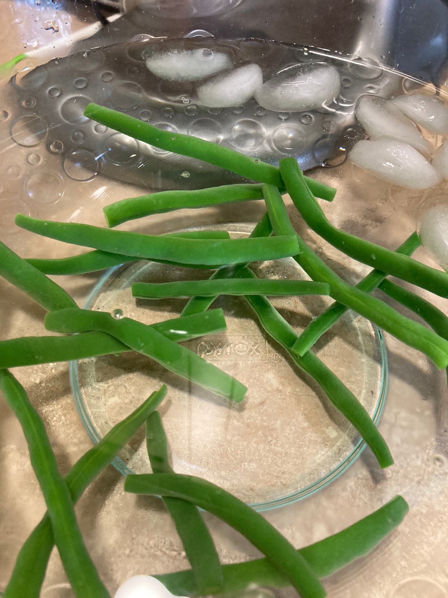 How to Blanch and Freeze Green Beans – Life on Lady Slipper Lane