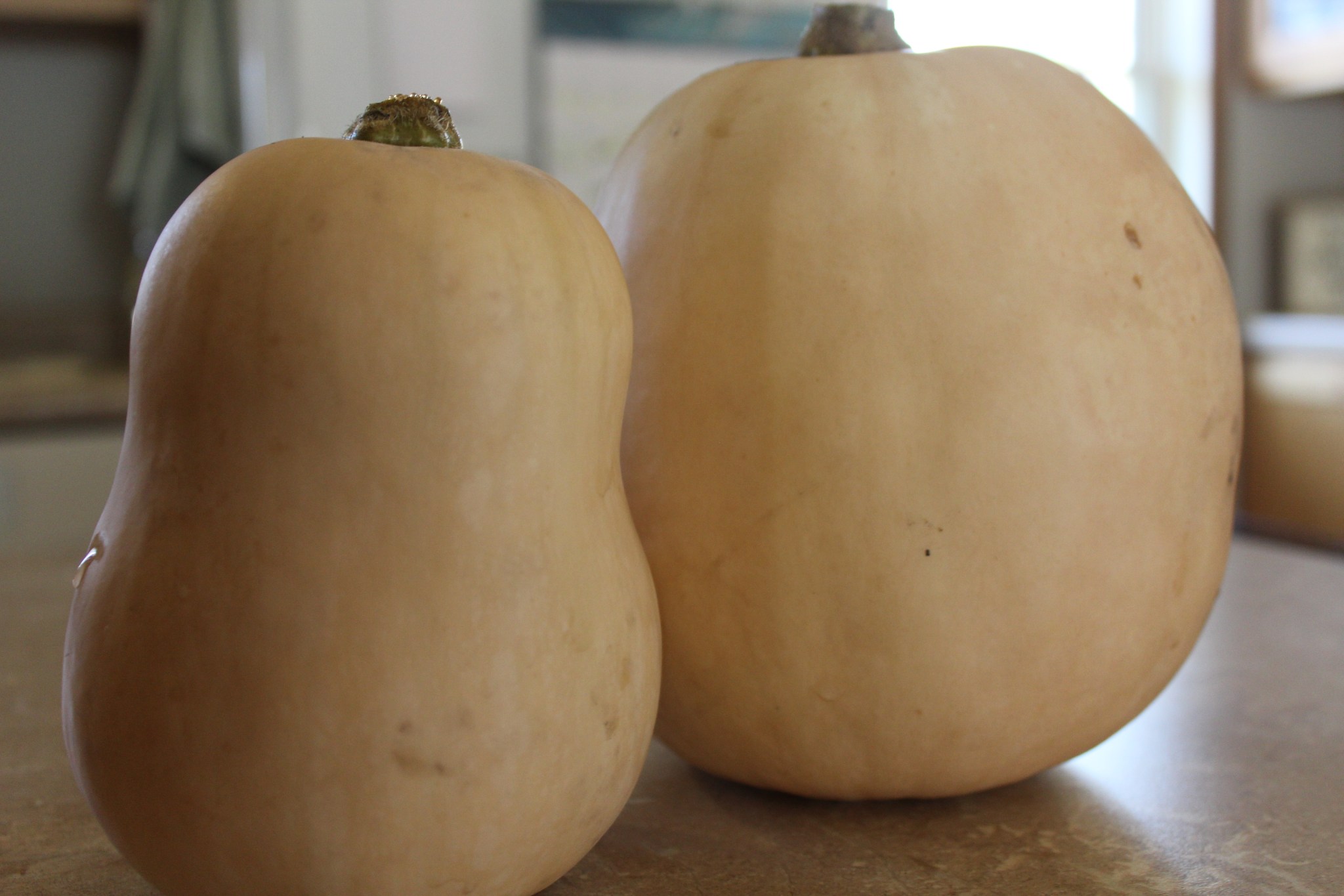 How to Blanch & Freeze Butternut Squash – Life on Lady Slipper Lane